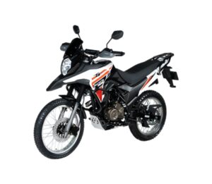 Nueva AKT TT Dual Sport 200 (TT DS 200) Precio y ficha técnica