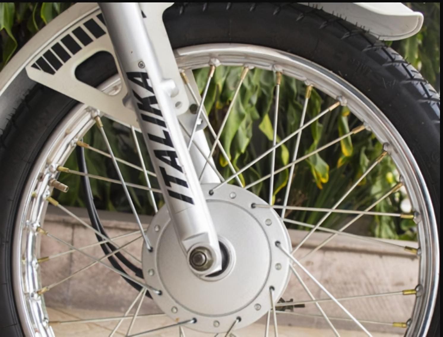 Italika DT 110 Delivery | Precio, ficha técnica y características
