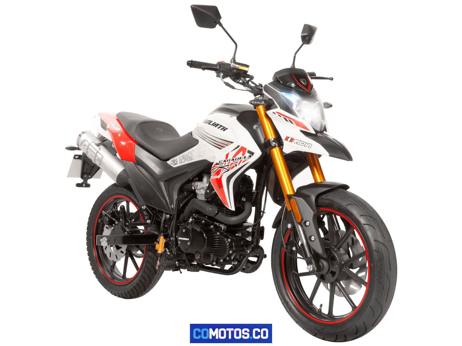 Carabela Goliath GX 250 2023 | Precio, ficha técnica y características