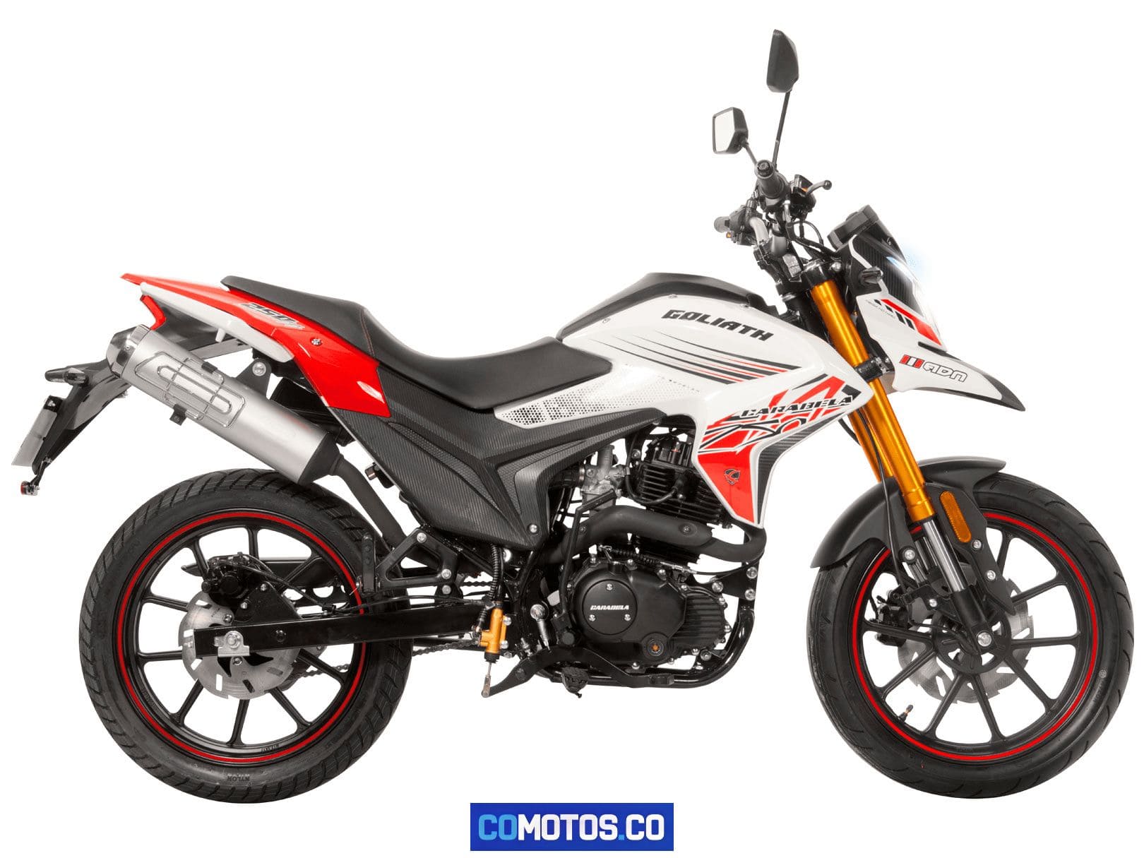 Carabela Goliath GX 250 2023 | Precio, ficha técnica y características