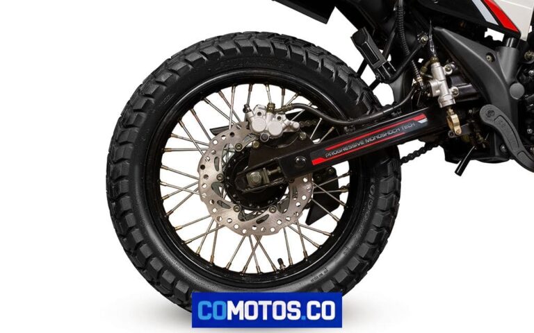 Torino Motors Tiger 250 | Ficha técnica, precio, consumo y velocidad