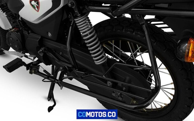 Torino Motors Ole Cargo 125 2024 | Precio, ficha técnica y características