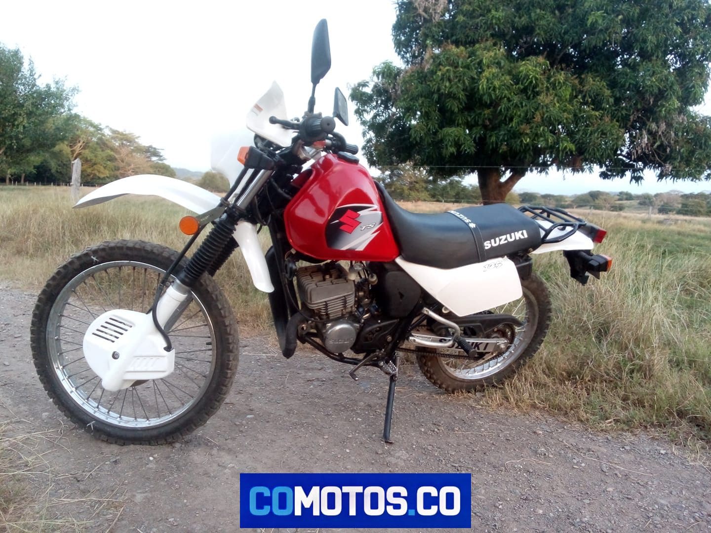 Suzuki TS 125 | Precio, ficha técnica y características