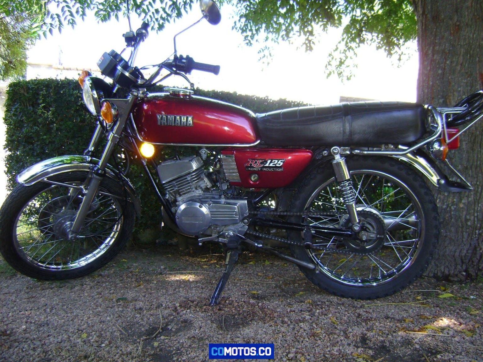 Yamaha RX 125 | Historia, especificaciones, ficha técnica y velocidad