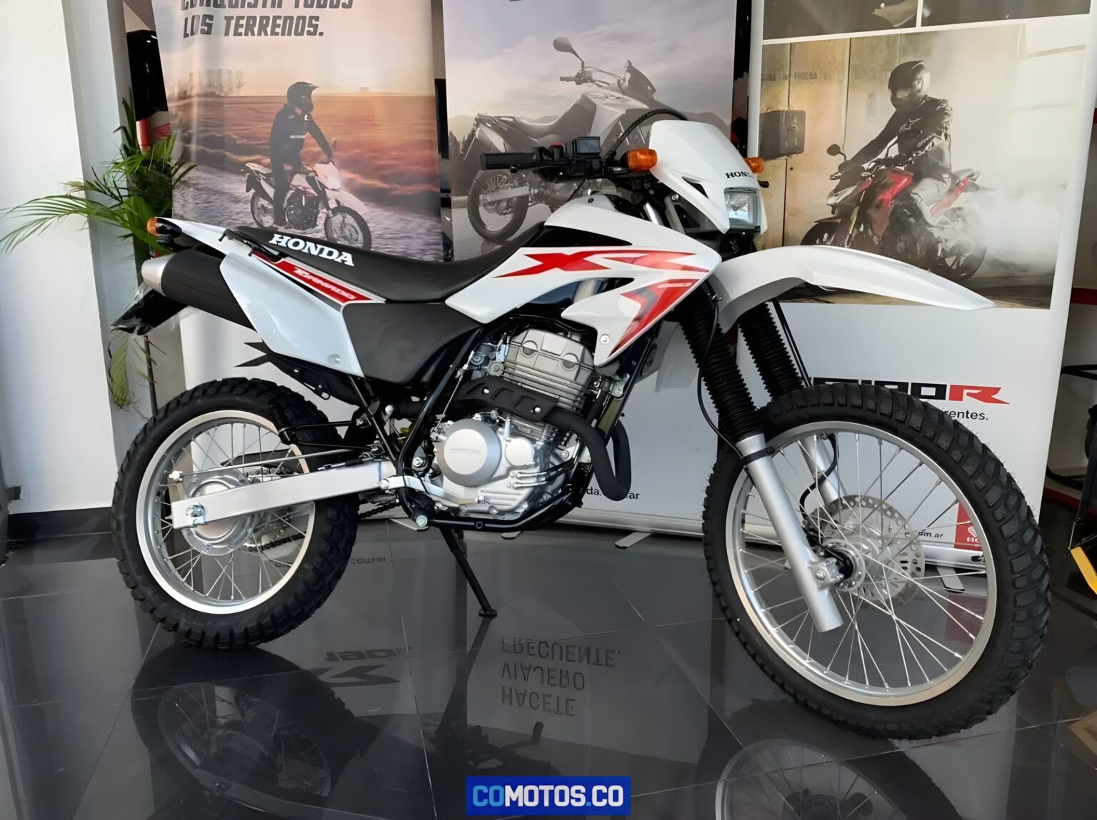 Honda XR250 Tornado | Precio, ficha técnica, consumo, velocidad