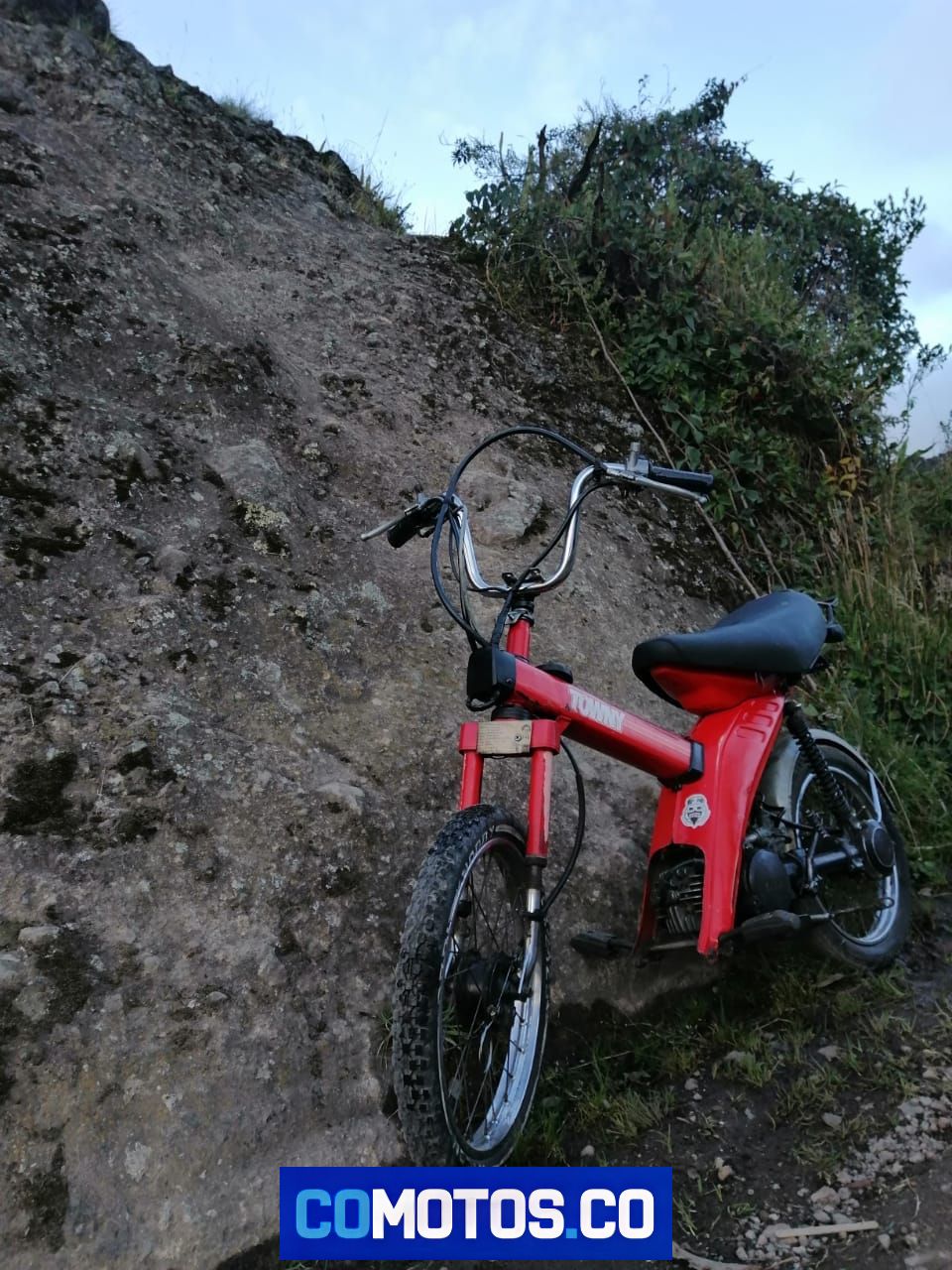 Yamaha Towny 50 | Precio, ficha técnica, velocidad, consumo